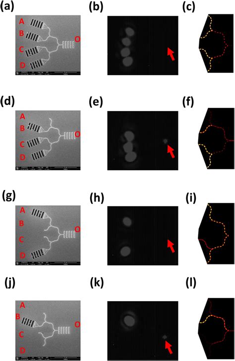 Logic Operation Of All Optical Logic Parity Checker A Sem Image Of Download Scientific