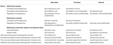 Frontiers Grammatical Gender Influences Semantic Categorization And