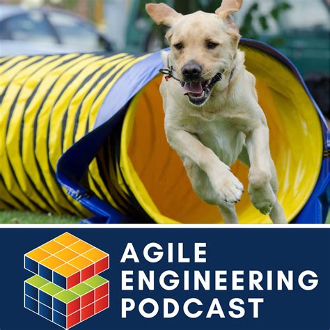 Episode 8 Agile Principles Part 3 Agile Engineering Podcast