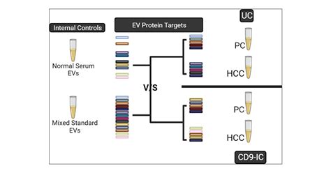 In Depth Proteome Profiling Of Small Extracellular Vesicles Isolated From Cancer Cell Lines And