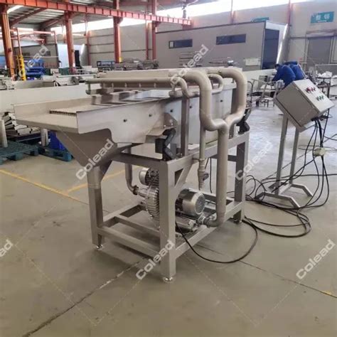 Palm Date Processing Machine Vibration Sorting Machine High Quality