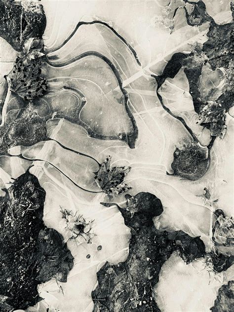 Scientific Modeling Archives Diverse Daily