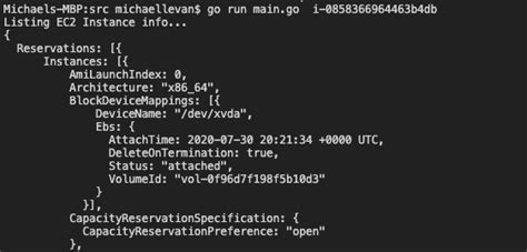 Golang For Automation In Aws Octopus Deploy