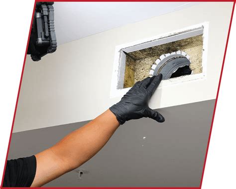 Florida Mold Testing Fp Property Restoration
