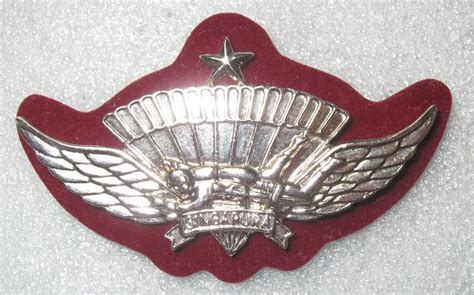 Singapore Basic Freefall Commando Type 1