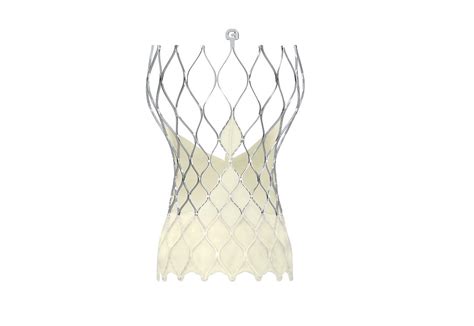 Medtronics Tavr Platform Show Positive Outcomes In Surtavi Trial