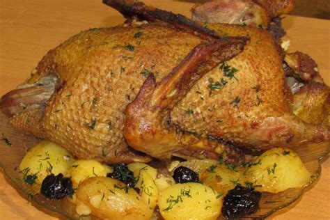 Как приготовить сочного гуся: 5 пошаговых рецептов - Со Вкусом