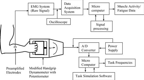 Block Diagram Of Force And Electromyography Emg System Download Scientific Diagram
