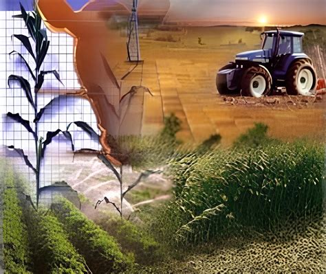 Claves Para Crear Empresa Agropecuaria En Colombia Contexto Ganadero