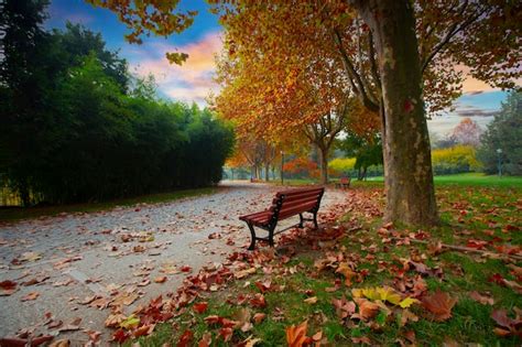 Premium Photo Botanical Park Bursa Turkey