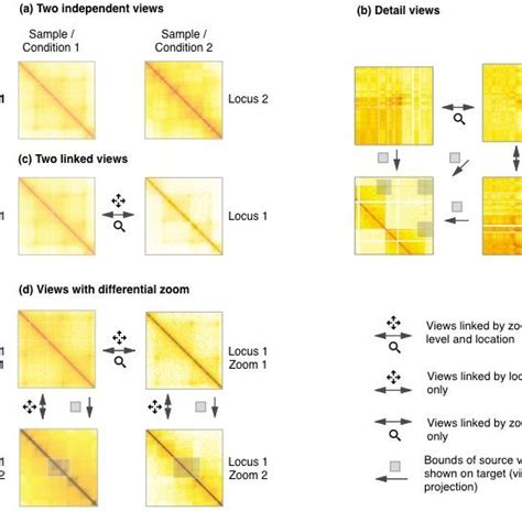 examples of different ways that views can be linked multiple views