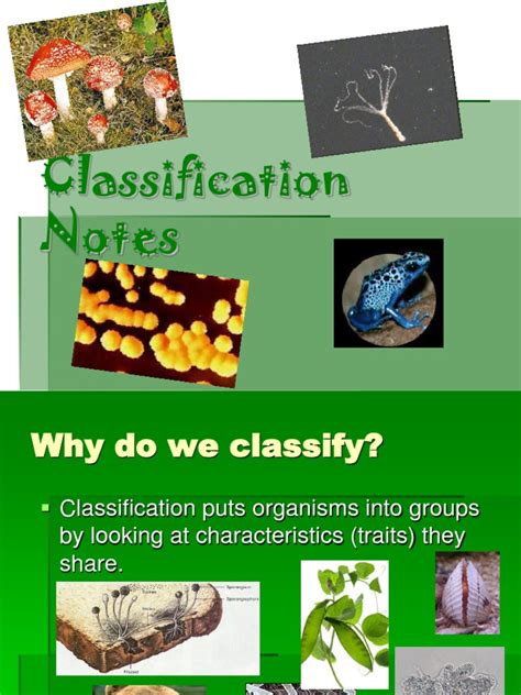 Classification Taxonomy Powerpoint Organisms Cell Biology