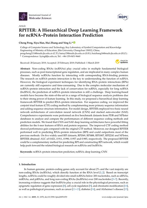 Pdf Rpiter A Hierarchical Deep Learning Framework For Ncrnaprotein Interaction Prediction