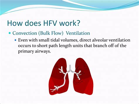 High Frequency Ventilation Ppt