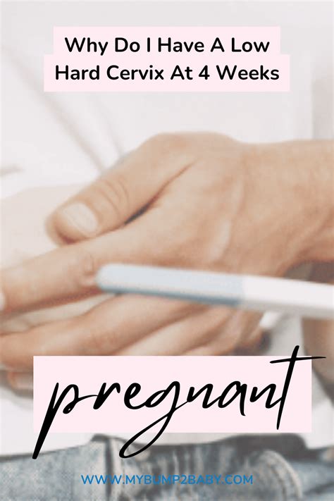 Why Do I Have A Low Hard Cervix At 4 Weeks Pregnant Artofit