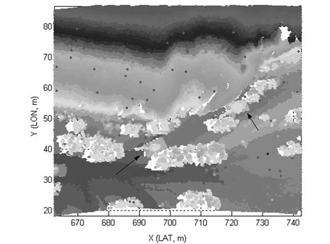 Ladar Height Image Whiter Higher With 2 Tanks Marked By Black Arrows