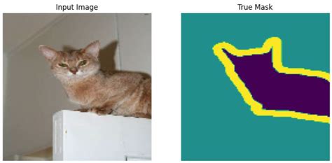 Image Segmentation With UNET A Step By Step Tutorial Using Oxford Pet Data And Keras Tensorflow