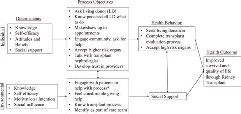Logic Model Illustrating The Determinants And Process Objectives