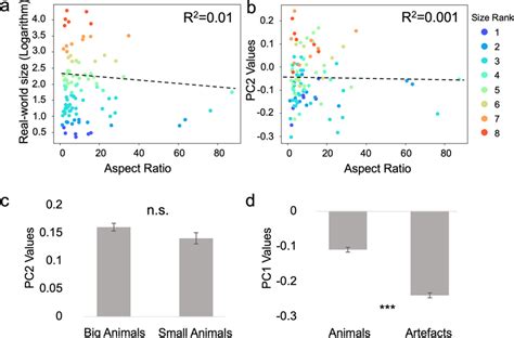 The Independence Of Coding Objects Size Curvature And Animacy In The Download Scientific