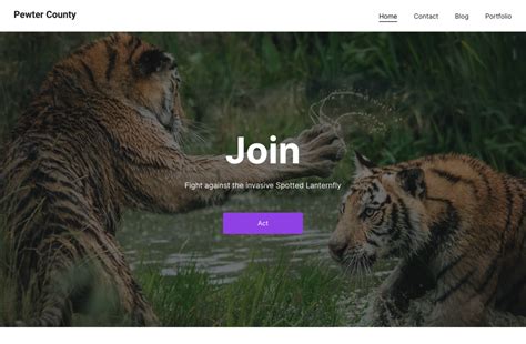 Ai Layout Assistants Klara Schmitt