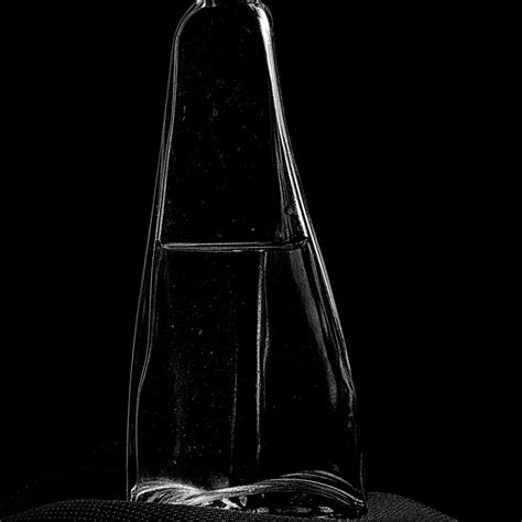 Single Element Photograph By Guillermo Hakim