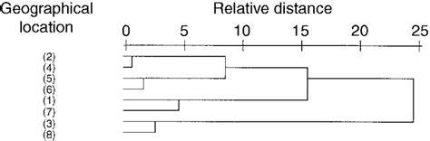 Dendrogram Of The Hierarchical Clustering Performed On The Principal Download Scientific