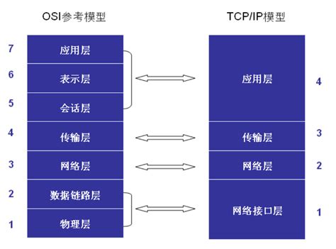 unix网络编程 TCP协议详解一 胖白白 博客园