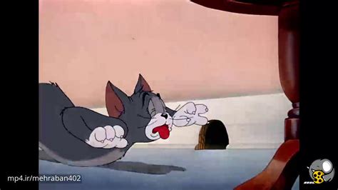 کارتون تام و جری جدید جری کلاهبردار و تام بیچاره فیلو