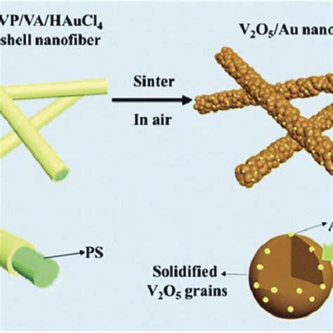 Schematic Drawing Of A Typical Work Via In Situ Polymerization Download Scientific Diagram