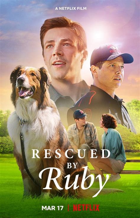 საოჯახო ფილმები ქართულად Saojaxo Filmebi Qartulad Saojaxo Kinoebi გვერდი 2