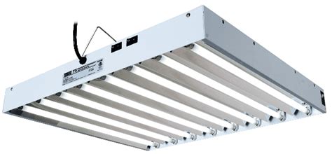 Diy T5 Ho Grow Light Shelly Lighting