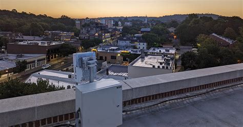 Mycelium Networks Builds Blockchain Tech Hub Talk Business And Politics