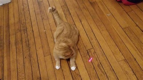 Like A Pendulum In A Clock Tick Tock Tip Tap Rtippytaps