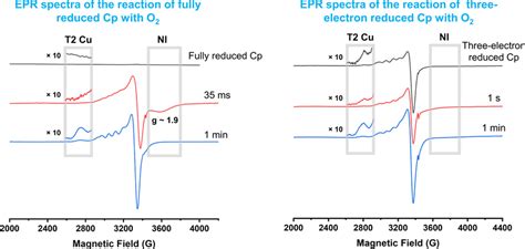 Electron Paramagnetic Resonance Epr Characterization Of The Reaction