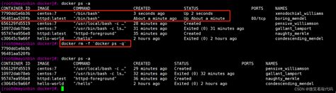 docker的安装部署及优化详解（汇总版，学习docker这一篇就够了） exec opts csdn博客
