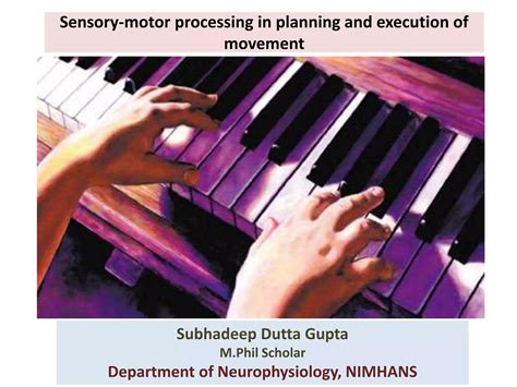 Sensory Motor Processing In Planning And Execution Of Movement Pptx