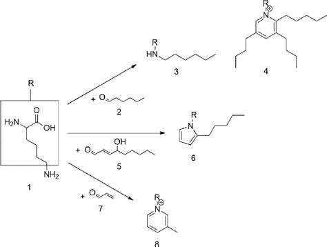 Known Lipation Reactions Of Lysine 1 According To Refs 10−12 Reaction