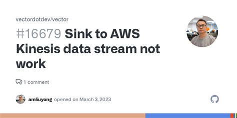 Sink To Aws Kinesis Data Stream Not Work · Issue 16679 · Vectordotdev