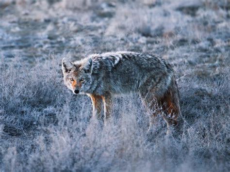 Portfolio Hunter Winterton Photography