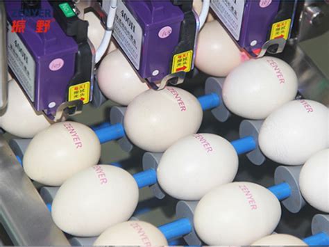 egg inkjet printer egg printing