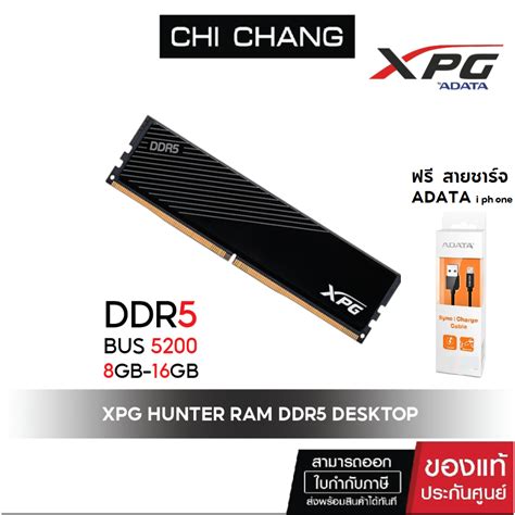 ฟรีสายชาร์จ ผลไม้ Xpg Hunter Ram 8gb 16gb Ddr5 5200 Pc5 41600 แรม