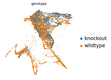 Hands On Inferring Single Cell Trajectories With Scanpy Inferring Single Cell Trajectories