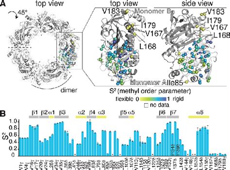 Dynamics Of The Dimeric State Probed By Solution Nmr In Tsa1 S78d Of