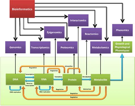 Infusion Of Biological Omics With Bioinformatics Download