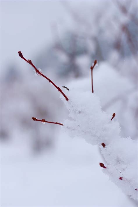 Julia Wall Posted On Linkedin