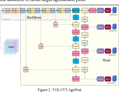 Figure 2 From Research On Agricultural Pest Target Detection Method Based On Yolov7 Semantic