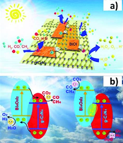 Scheme5 A Illustrationoft He Mechanism Of The Indirect Z Schemeg C 3 N Download Scientific