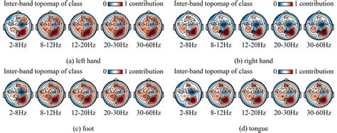 Eegnet Selected Spatial Features In Interestingband On Subject 06 For Download Scientific