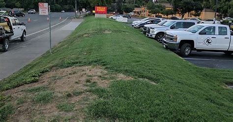 Ex Trees Album On Imgur