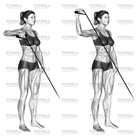 Band Upright Shoulder External Rotation Exercise Guide Techniques Benefits How To Muscles